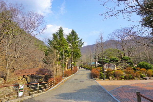 전라북도여행 완주 가볼만한 곳 완주 대아수목원 등산로와 대아저수지 드라이브 대둔산 등산전주근교 가볼만한곳 네이버 블로그