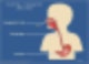 L-tube(levin tube) 삽입위치, 간호 : 네이버 블로그