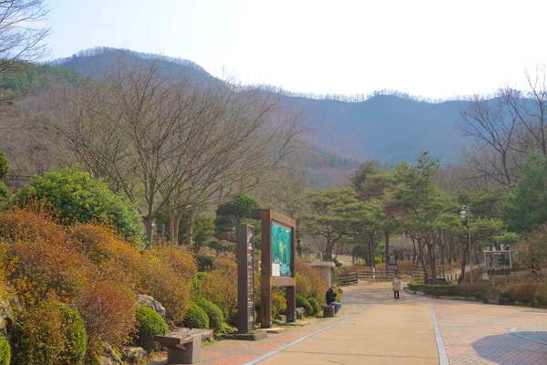 전라북도여행 완주 가볼만한 곳 완주 대아수목원 등산로와 대아저수지 드라이브 대둔산 등산전주근교 가볼만한곳 네이버 블로그