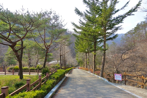 전라북도여행 완주 가볼만한 곳 완주 대아수목원 등산로와 대아저수지 드라이브 대둔산 등산전주근교 가볼만한곳 네이버 블로그