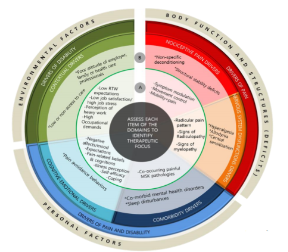 BPS Model : Biomechanic factor의 재해석 : 네이버 블로그