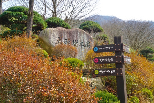 전라북도여행 완주 가볼만한 곳 완주 대아수목원 등산로와 대아저수지 드라이브 대둔산 등산전주근교 가볼만한곳 네이버 블로그