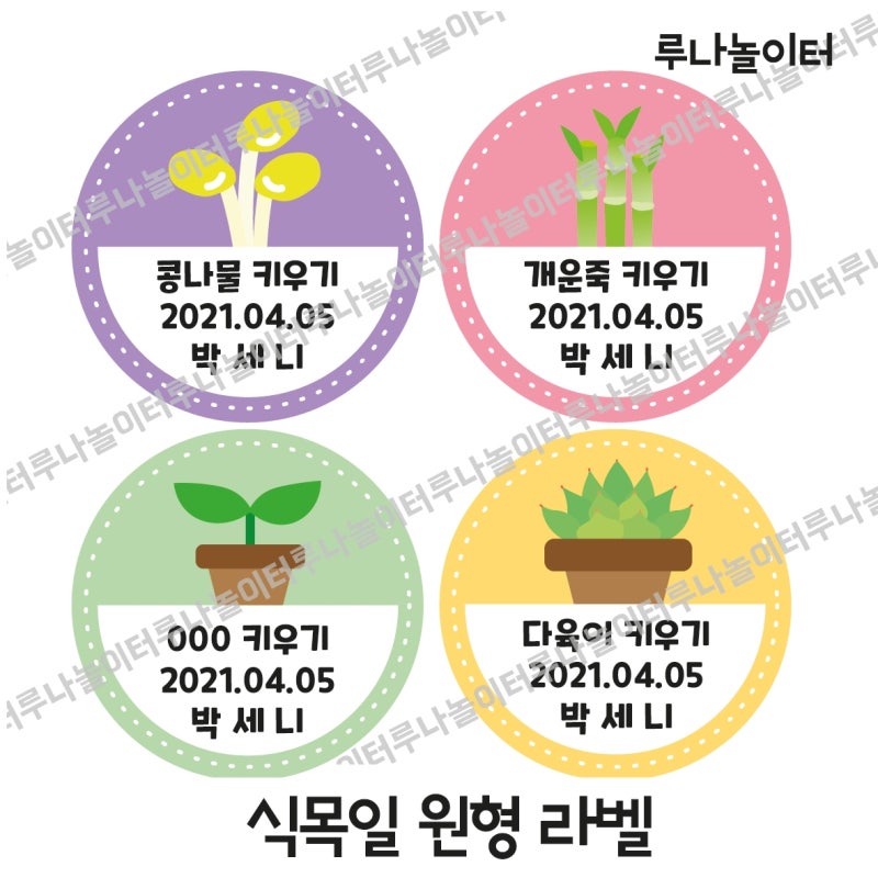 꽃 이름표 식목일 이름표 다육이 라벨 어린이집 유치원 식목일 다육이 개운죽 콩나물 화분 라벨 루나놀이터 식목일
