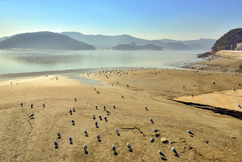 인천 강화도 석모도 무료 노지 차박 캠핑 하기좋은곳 동막해변 외포항 어류정항 민머루해변 장구너머항 서울 근교 바다