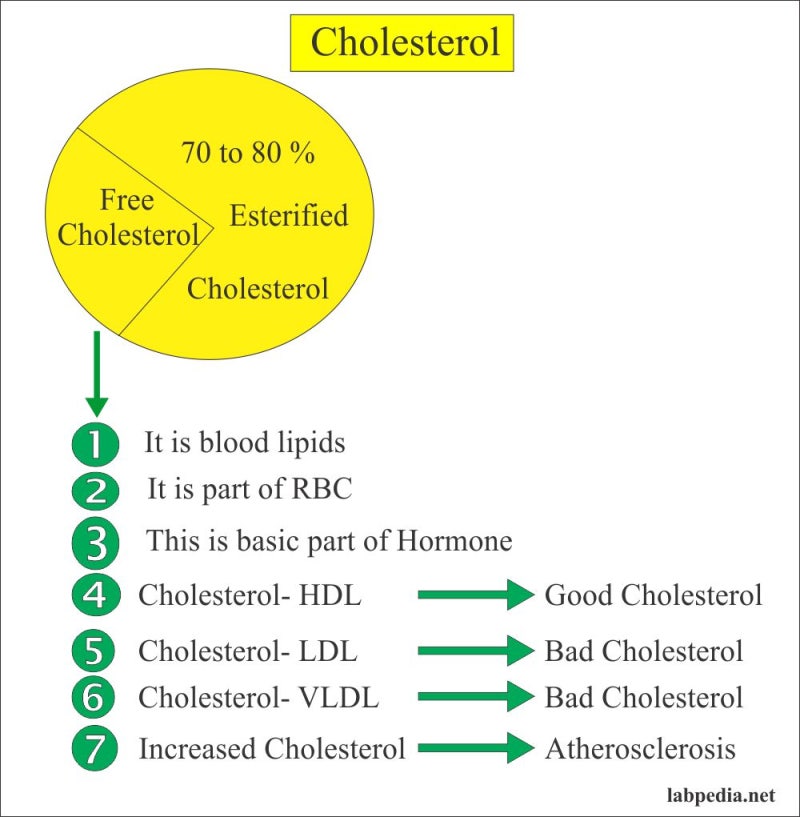 총 콜레스테롤 검사(Total Cholesterol Test) : 네이버 블로그