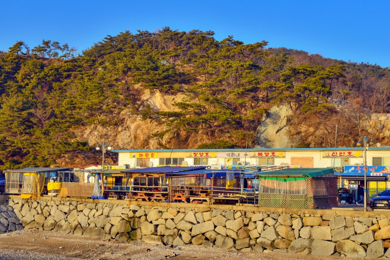 인천 강화도 석모도 무료 노지 차박 캠핑 하기좋은곳 동막해변 외포항 어류정항 민머루해변 장구너머항 서울 근교 바다