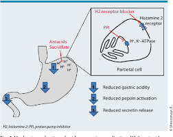 제산제, H2 blocker : 네이버 블로그