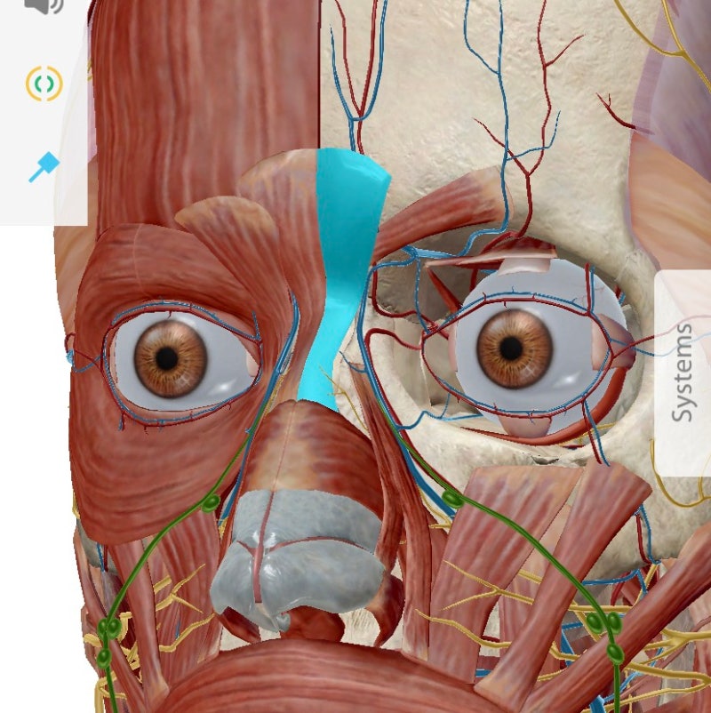 미간주름을 펴주는 미간보톡스: 효과와 부작용 그리고 주의점 : 네이버 블로그