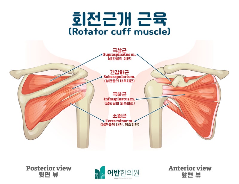 어깨 통증 검사 받아보니 어깨 충돌 증후군 네이버 블로그