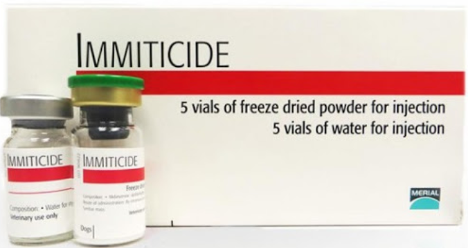 [증례] 심장사상충 감염증과 폐동맥고혈압의 치료 증례. : 네이버 블로그