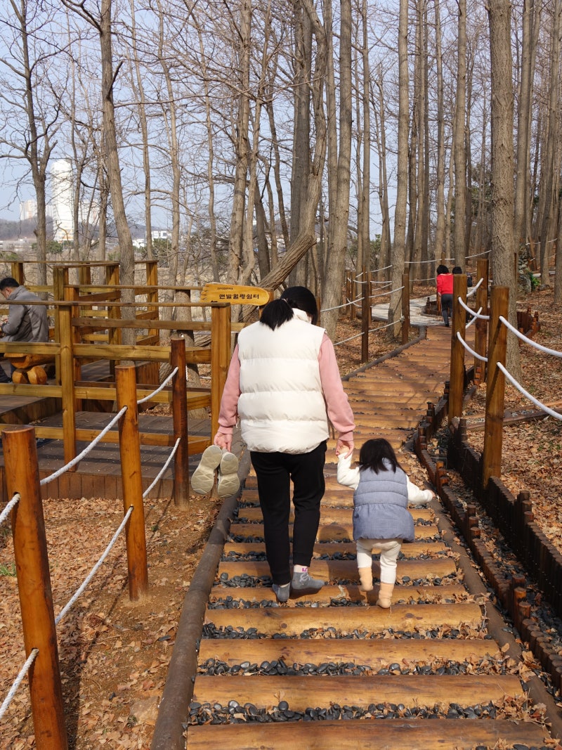 인천 아이와 가볼만한 곳 영종도 씨사이드파크 숲길산책로맨발산책길숲속유치원 네이버 블로그