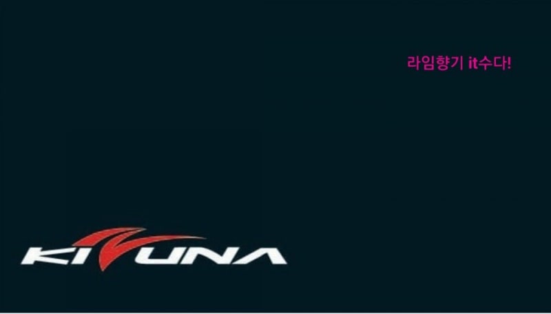[배드민턴 스트링&거트] 키즈나 스트링&거트(kizuna string&gut) 정보 및 간단 후기와 추천! : 네이버 블로그