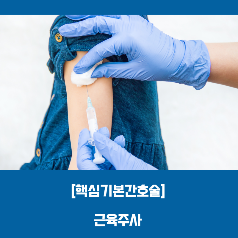 핵심기본간호술 근육주사 네이버 블로그