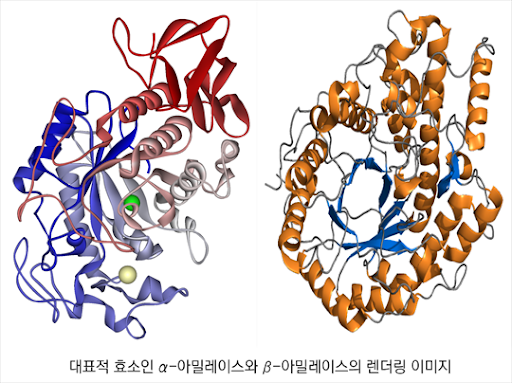 식품산업부터 공업용까지 높은 활용가치의 효소 효소활성분석 연구 한국의과학연구원 효소활성분석센터 네이버 블로그