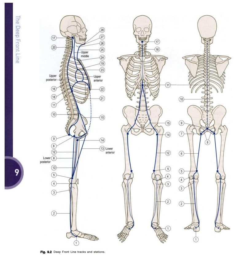 허리수술 후 재활치료 케이스 : 네이버 블로그
