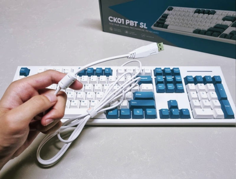 조용한 키보드 추천, 저소음 백축이 탑재된 COX CK01 PBT SL 사용기 : 네이버 블로그
