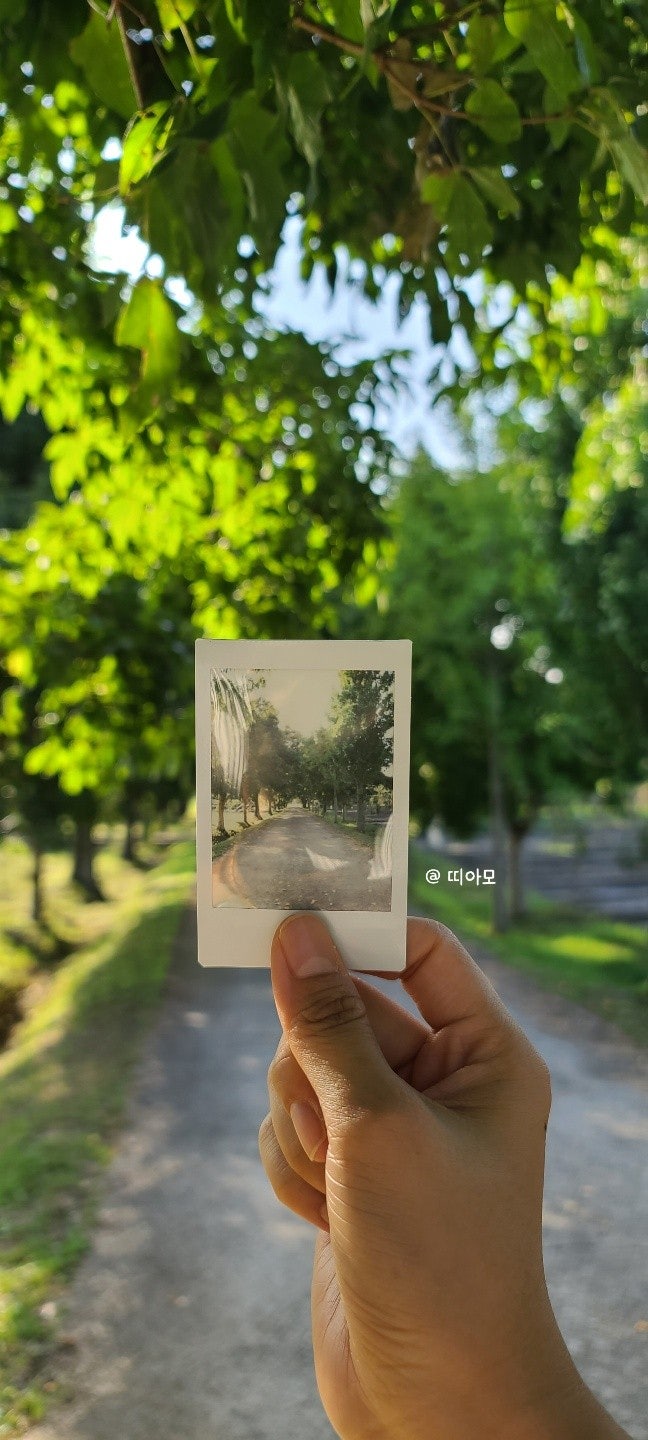[나들이] 21'나주 산림자원연구소 & 나주호 : 네이버 블로그