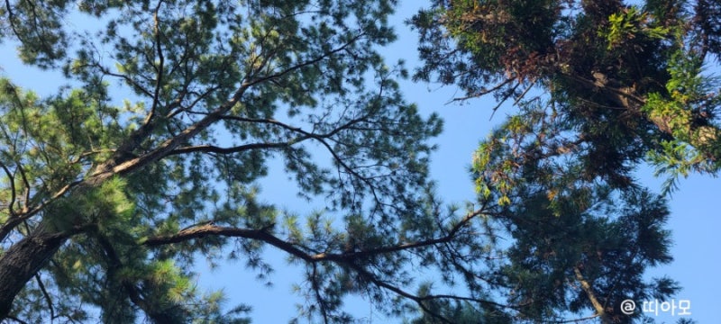 [나들이] 21'나주 산림자원연구소 & 나주호 : 네이버 블로그