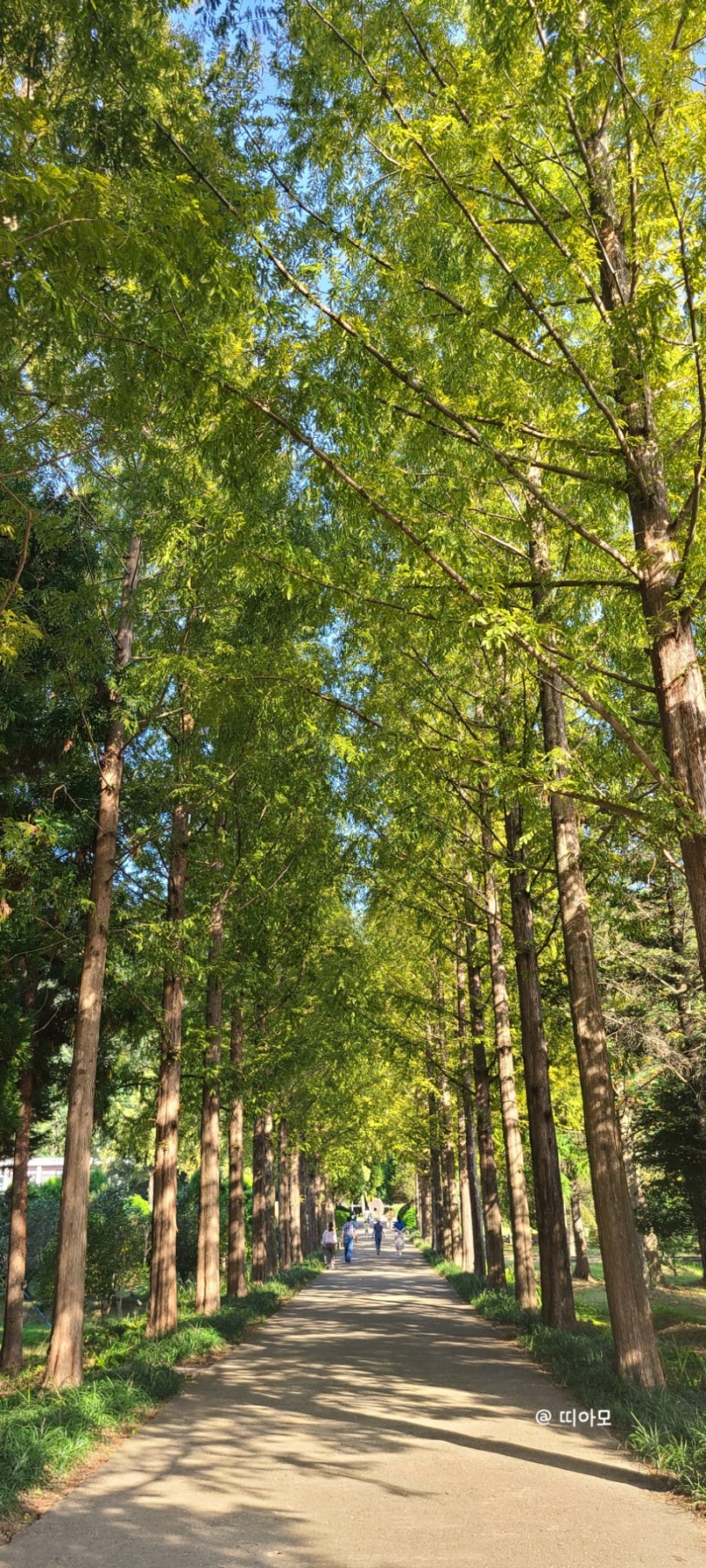 [나들이] 21'나주 산림자원연구소 & 나주호 : 네이버 블로그