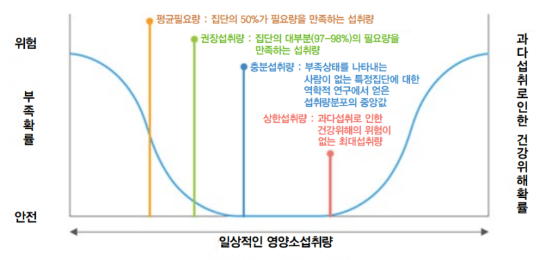 영양소 섭취량(RDA,RNI,EAR,ODI,AI,UL,DRI) : 네이버 블로그