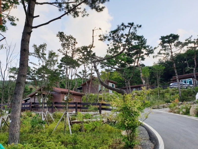 천안 태학산자연휴양림 숲속의집 산책로 탐방 네이버 블로그