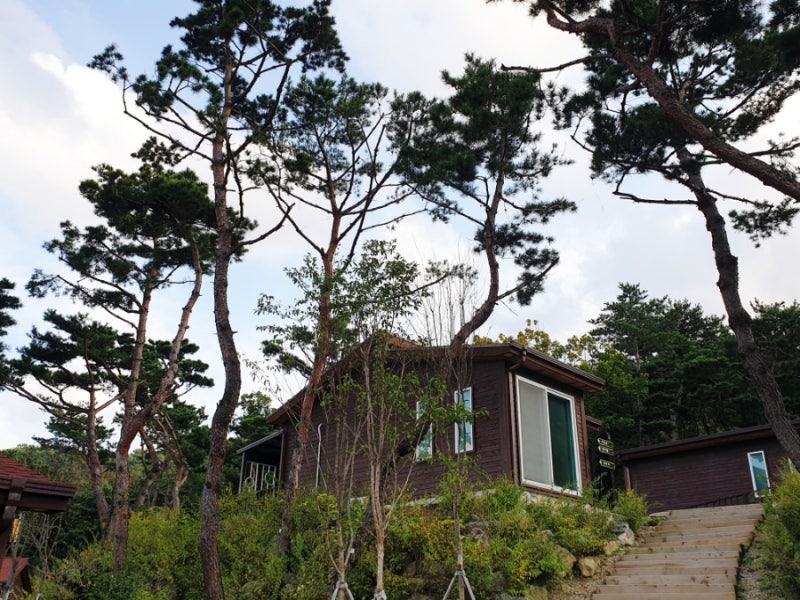 천안 태학산자연휴양림 숲속의집 산책로 탐방 네이버 블로그