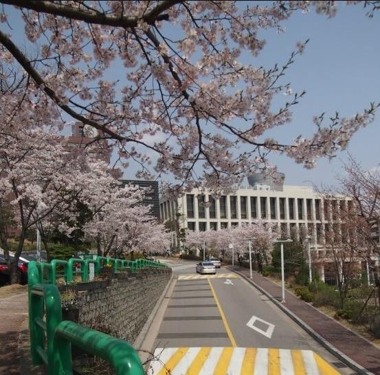 성균관대학교 정시등급 및 입결 성균관대 정시 총정리 경쟁률 입시결과 성대 네이버 블로그