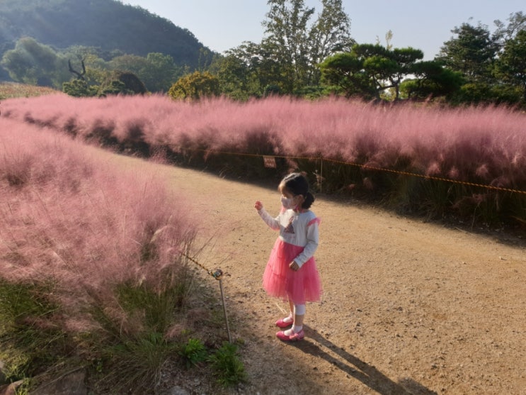 가산수피아 핑크뮬리 알파카 놀이동산 화분 만들기 체험 즐기기 대구근교 칠곡 아이와 가볼만한곳