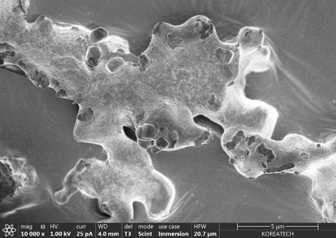 주사전자현미경 - Scanning Electron microscope (SEM) 원리 및 이론 : 네이버 블로그