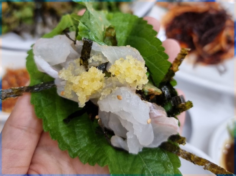 보성 율포해수욕장 맛집 갯마을횟집 막회 대박 네이버 블로그