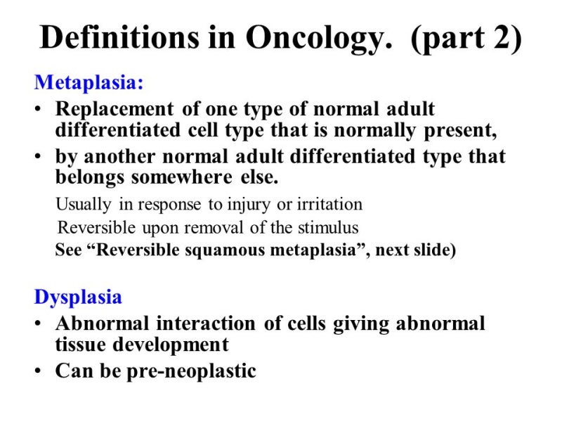 PLASIA Definitions : 네이버 블로그
