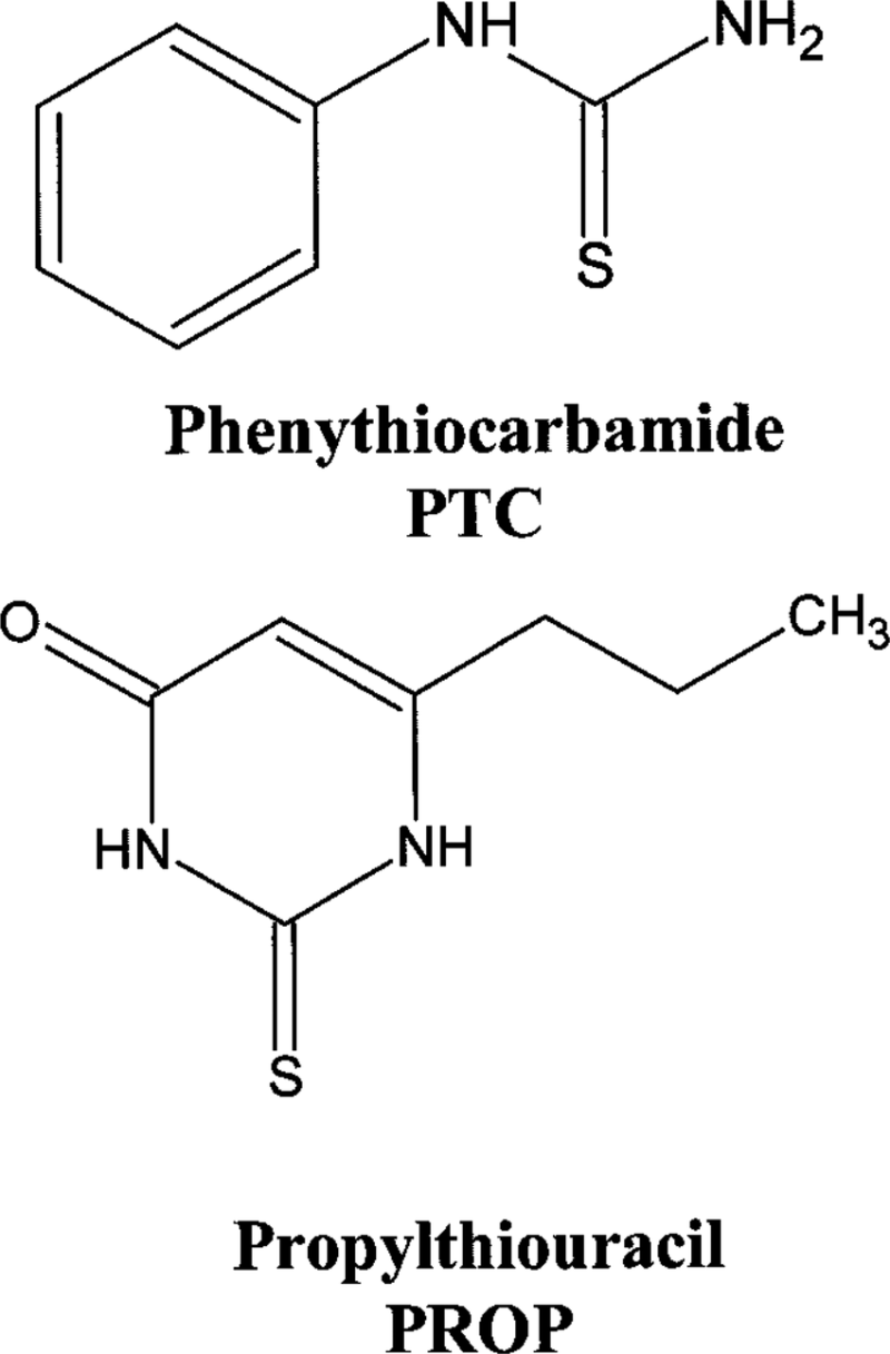 민트 초코? 고수? 오이? 유전자가 정한 호불호 : 네이버 블로그