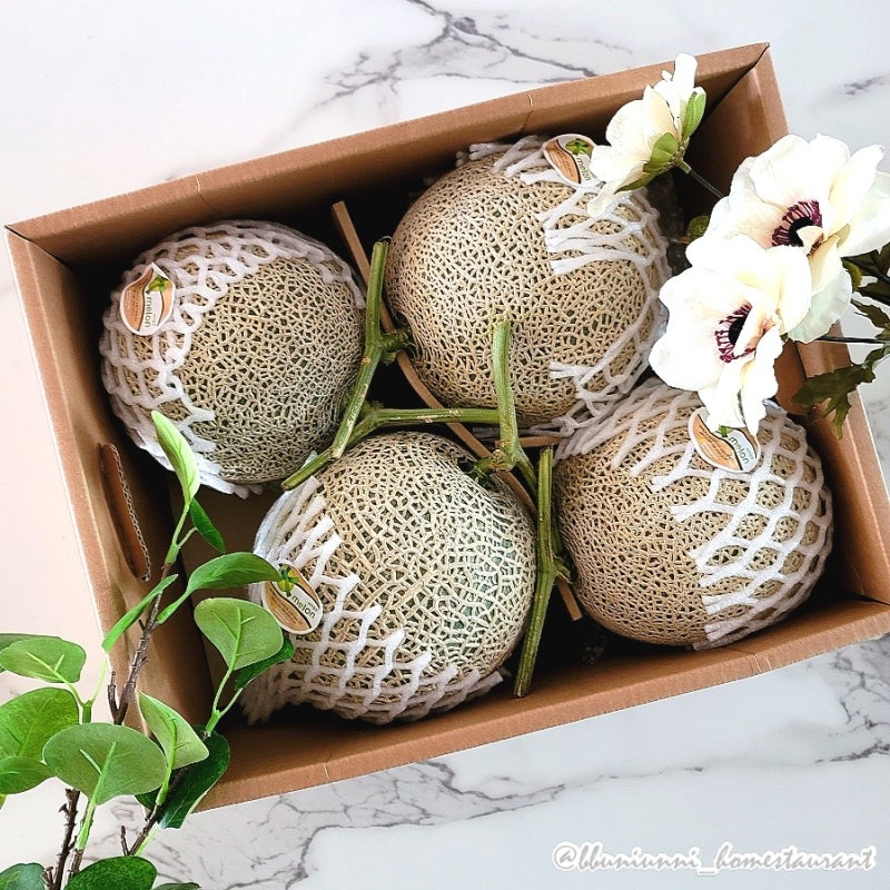 멜론자르는법 부터 간단한 와인안주 멜론프로슈토 하몽 만드는법 까지 메론 맛있게 먹는 방법 네이버 블로그