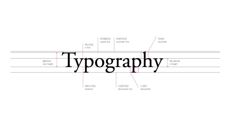 02 타이포그래피 들여다보기 Typography Basics 네이버 블로그