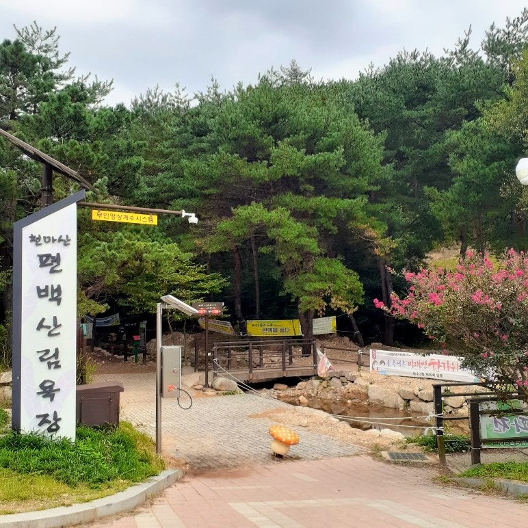 울산 북구 가볼만한곳 피톤치드 가득한 휴양림 달천동 천마산편백산림욕장 천마산 정상까지주차장 입장료 무료 네이버 블로그