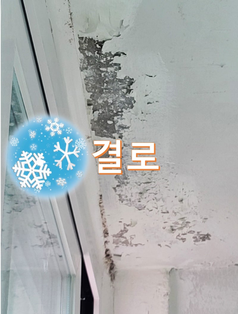 반복되는 베란다 천장 페인트 들뜸 박리 페인트 벗겨짐에 관하여페인트 보수 전 누수 등 원인 파악이 먼저 네이버 블로그