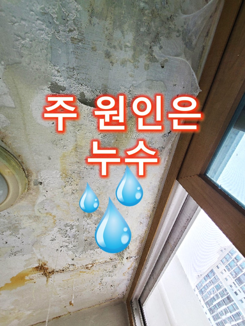 반복되는 베란다 천장 페인트 들뜸 박리 페인트 벗겨짐에 관하여페인트 보수 전 누수 등 원인 파악이 먼저 네이버 블로그