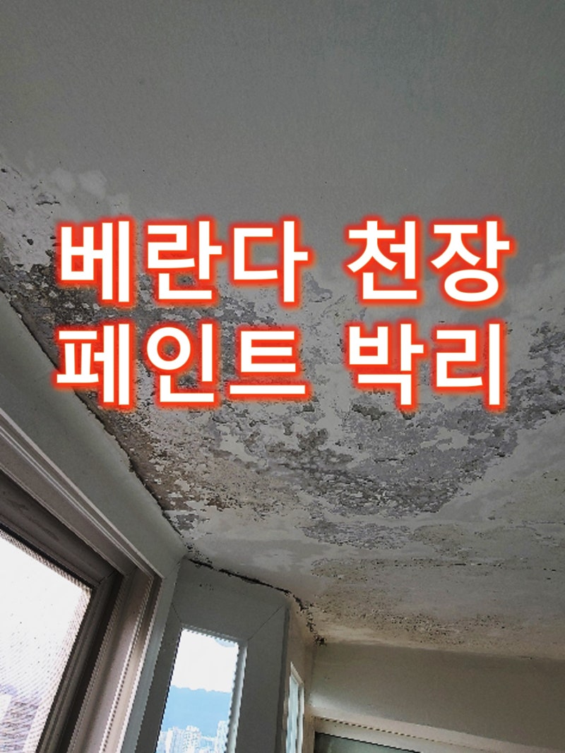 반복되는 베란다 천장 페인트 들뜸 박리 페인트 벗겨짐에 관하여페인트 보수 전 누수 등 원인 파악이 먼저 네이버 블로그