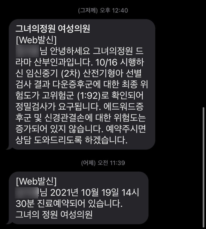 임신17주 2차기형아 검사 결과 다운증후군 고위험군 확인 니프티nipt 검사 진행 현대해상 태아보험 보험금청구