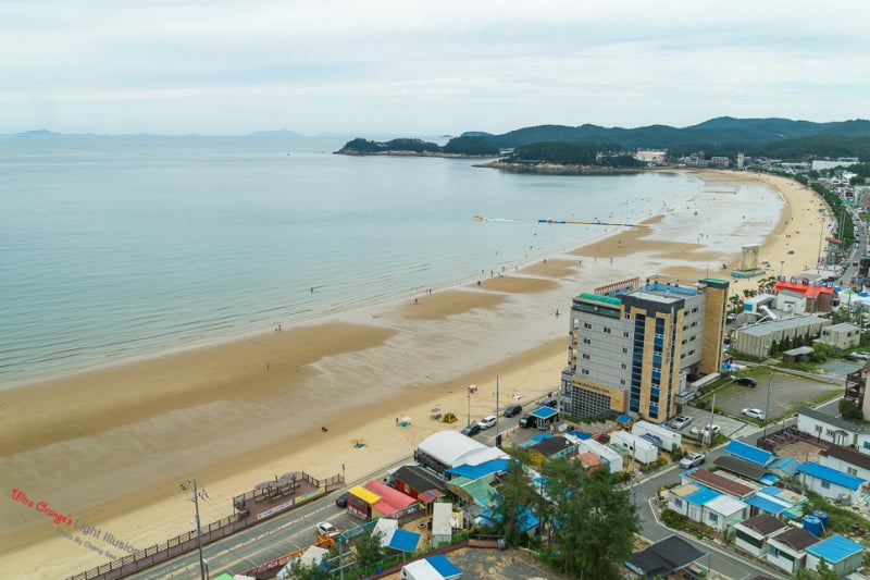 태안 가볼만한곳 천리포수목원 만리포해수욕장 포함 여행코스 네이버 블로그