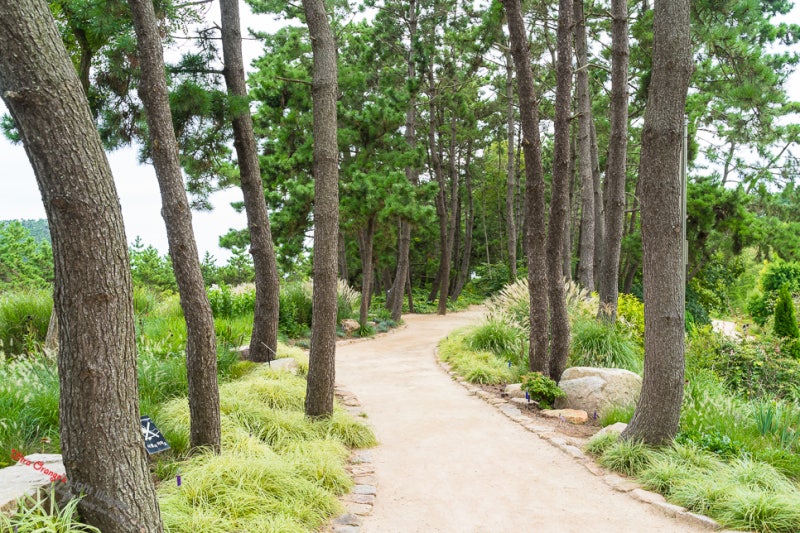 태안 가볼만한곳 천리포수목원 만리포해수욕장 포함 여행코스 네이버 블로그
