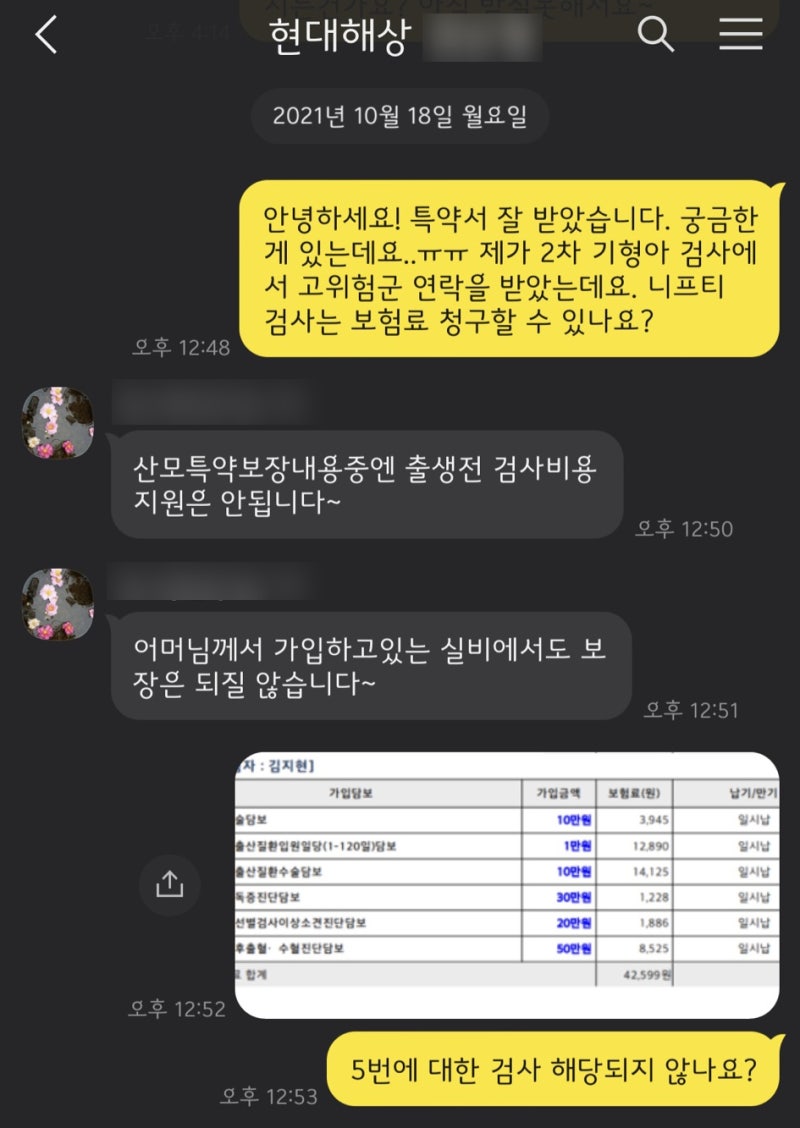 임신17주 2차기형아 검사 결과 다운증후군 고위험군 확인 니프티nipt 검사 진행 현대해상 태아보험 보험금청구