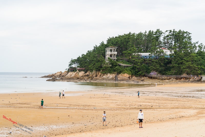 태안 가볼만한곳 천리포수목원 만리포해수욕장 포함 여행코스 네이버 블로그