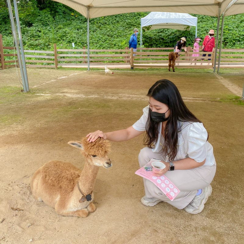 홍천여행 강원도 홍천 가볼 만한 곳 1박2일 추천코스 네이버 블로그