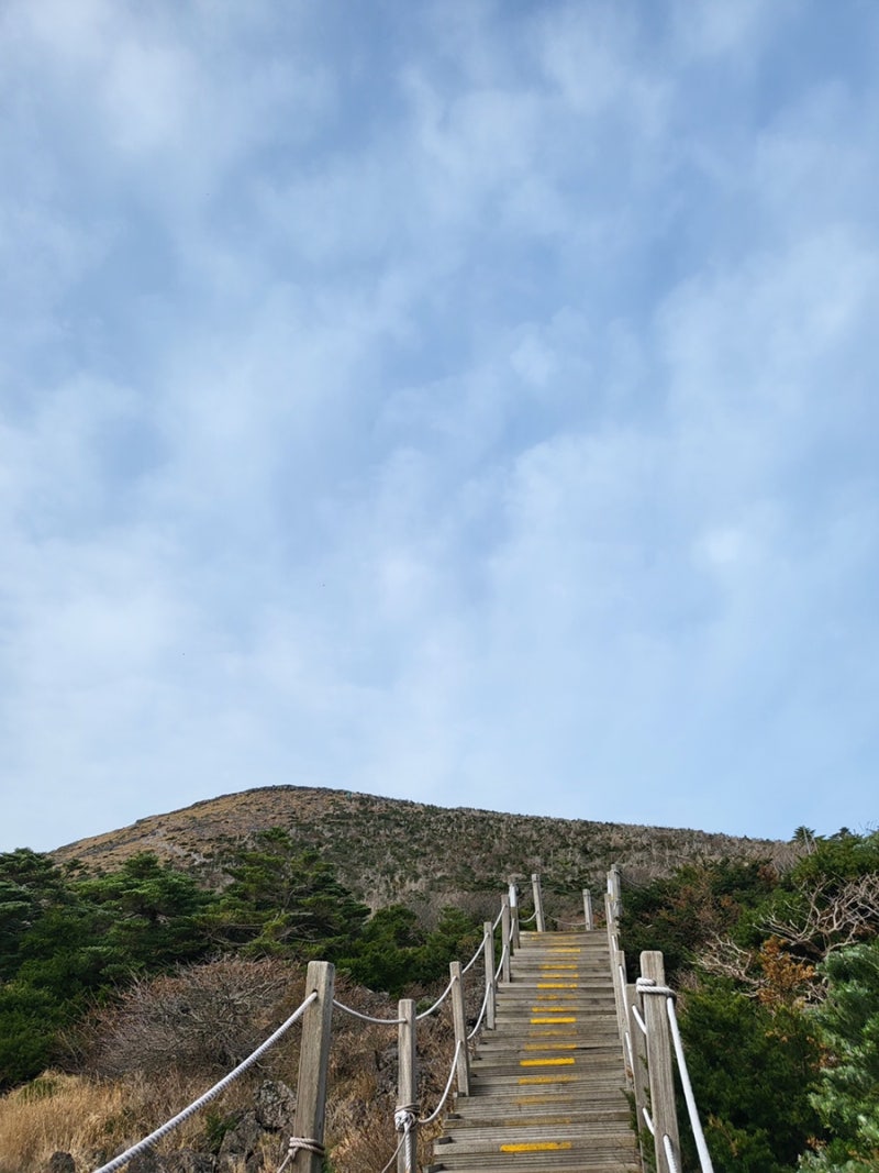 한라산 성판악코스 초보등산러 왕복 8시간 리얼후기 211021 네이버 블로그