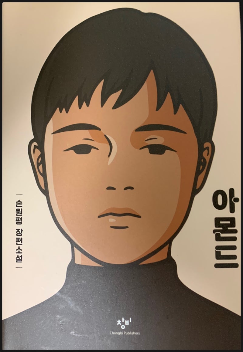 감정을 느낀다는 것 책 아몬드 줄거리리뷰 네이버 블로그