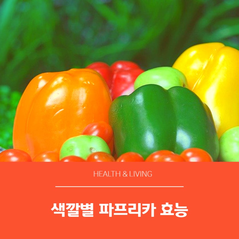 파프리카 효능 맛있게 먹는법 색깔별 네이버 블로그
