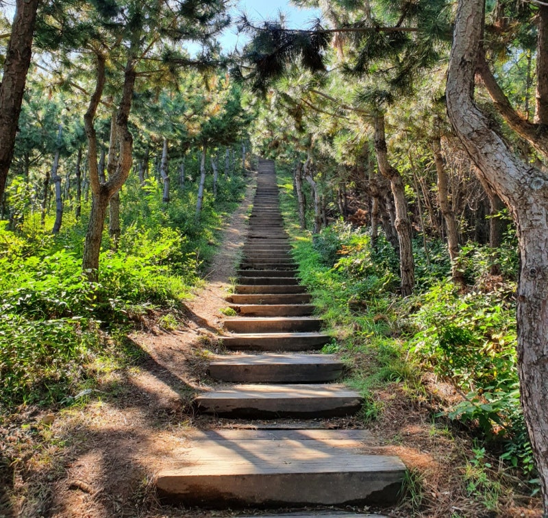 갯마을 차차차 촬영지 사방기념공원 언덕위 배에 올라가는 길 편하게 가는 방법저처럼 고생하지 마세요 네이버 블로그