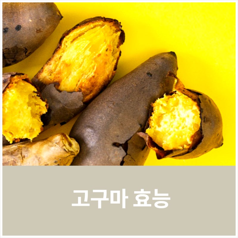 고구마 효능 부작용 밤고구마 호박고구마 자색고구마 네이버 블로그