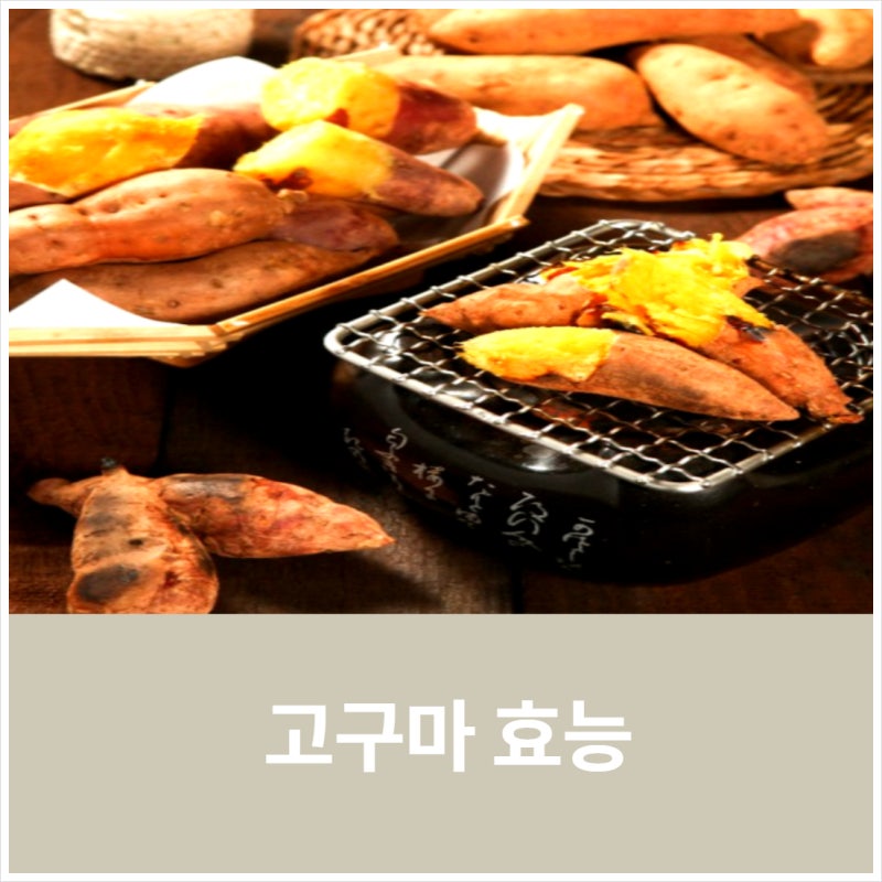 고구마 효능 부작용 밤고구마 호박고구마 자색고구마 네이버 블로그